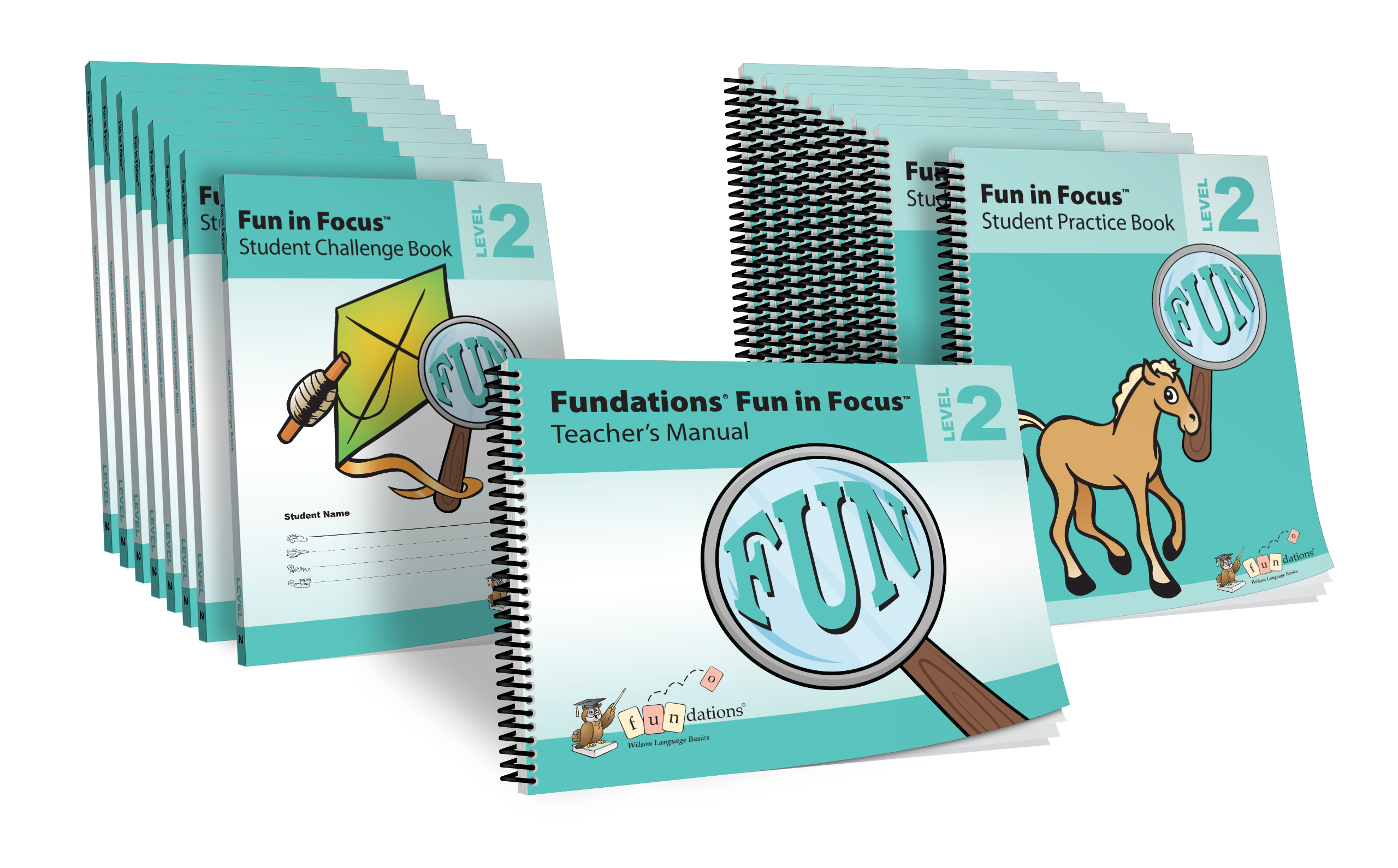 Fun in Focus Essentials Level 2